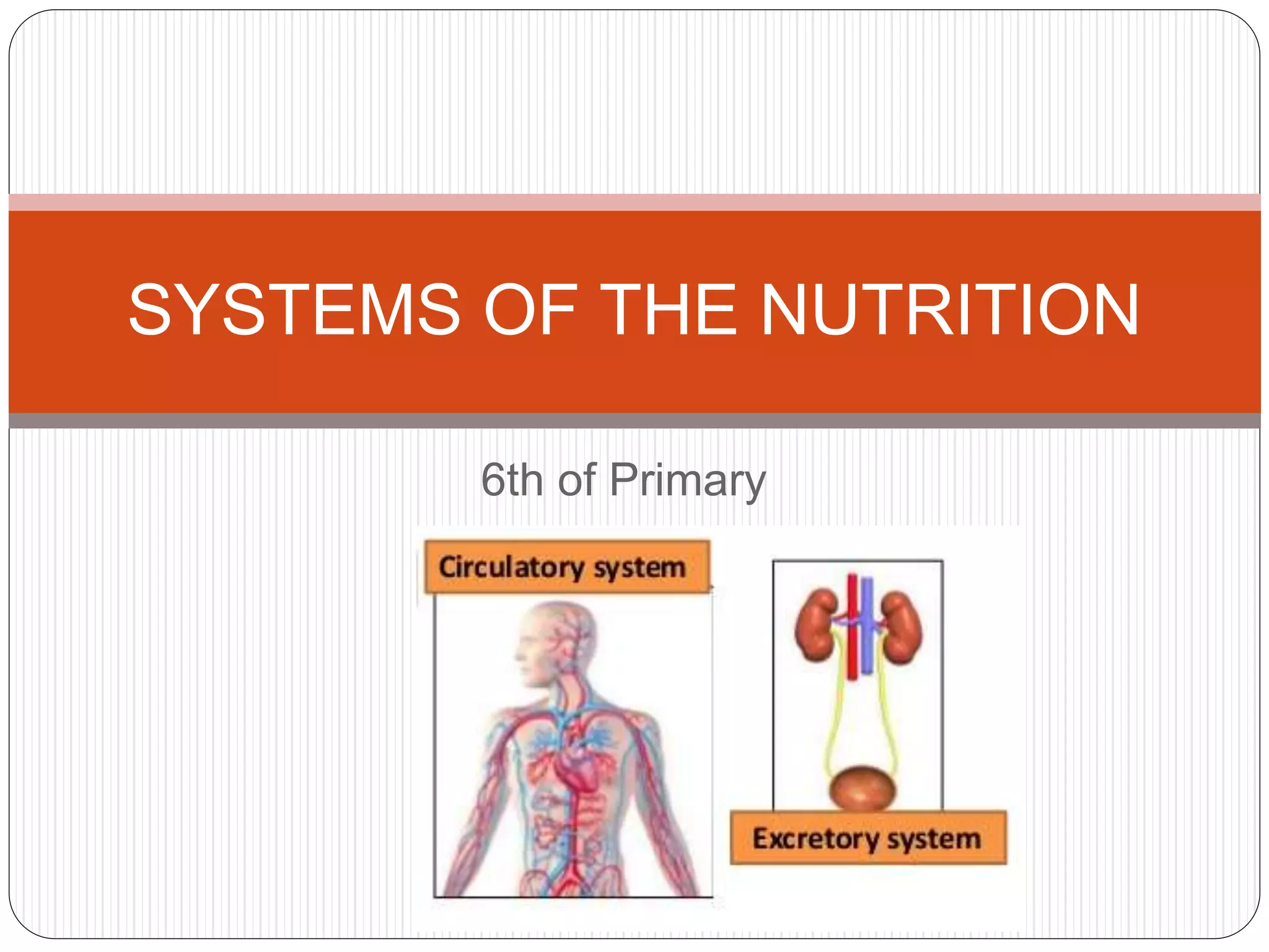 Systems of the nutrition circulatory and excretory system | PPT