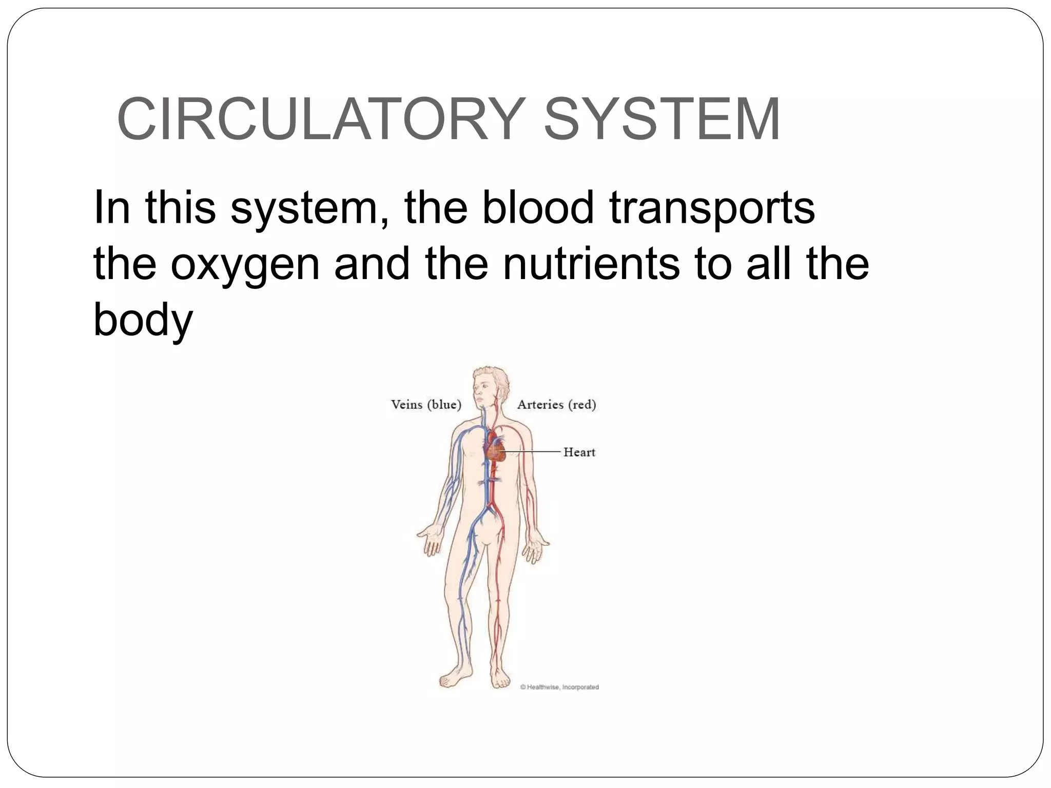 Systems of the nutrition circulatory and excretory system | PPT