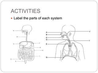 Systems of the nutrition digestive and respiratory | PPT