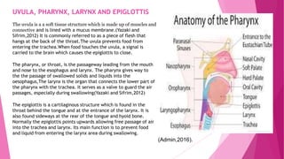 Systems physiology | PPT