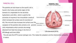 Systems physiology | PPT