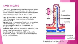 Systems physiology | PPT