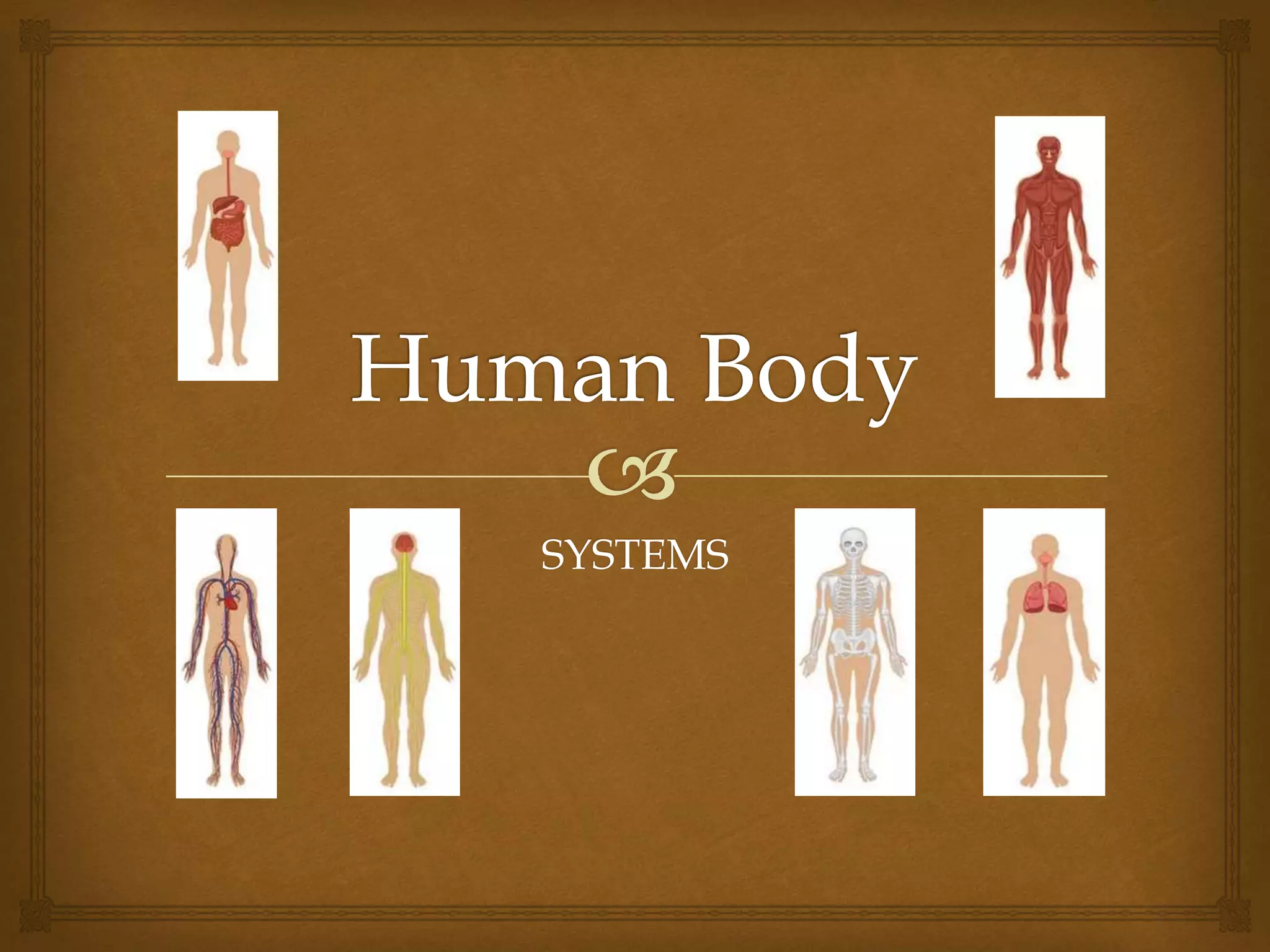 Systems presentation 5º | PPT