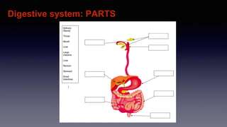 Body Systems - An Overview | PPT
