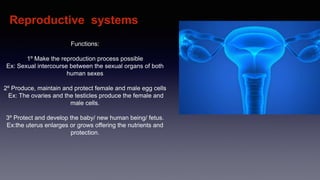 Body Systems - An Overview | PPT