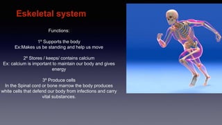 Body Systems - An Overview | PPT