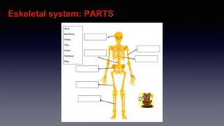 Body Systems - An Overview | PPT