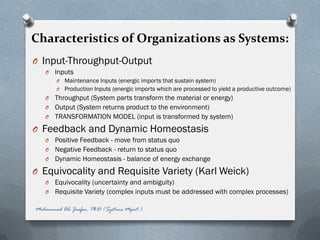 Systems theory in a Summary | PDF
