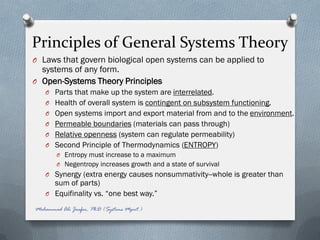 Systems theory in a Summary | PDF