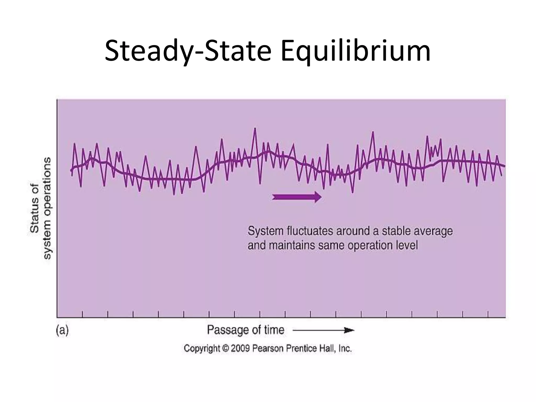 Systems Theory Explained | PPTX
