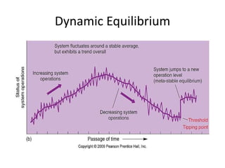 Systems Theory Explained | PPTX