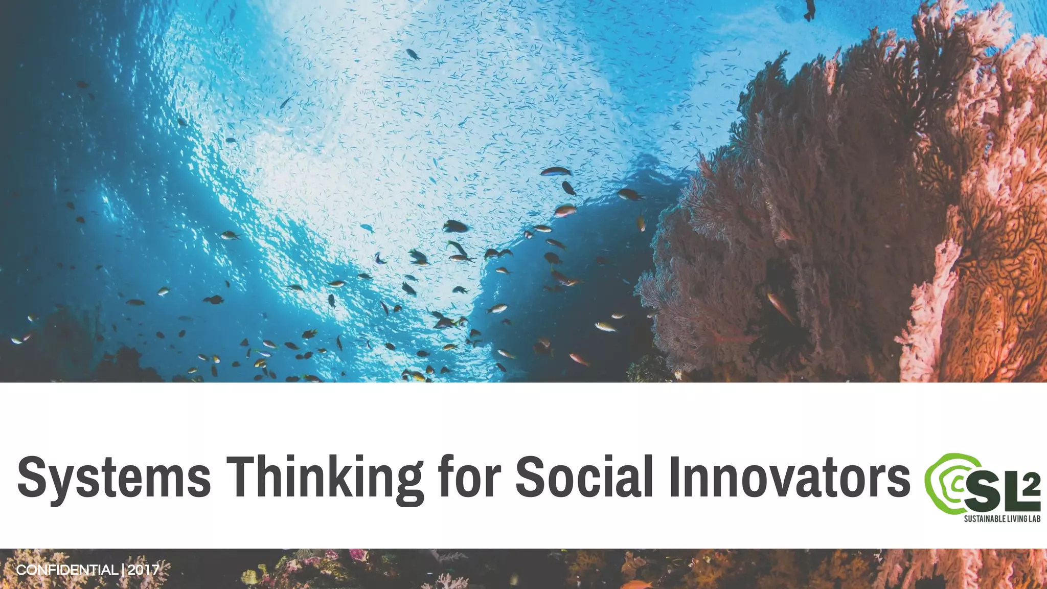 Systems thinking for social innovators | PPT