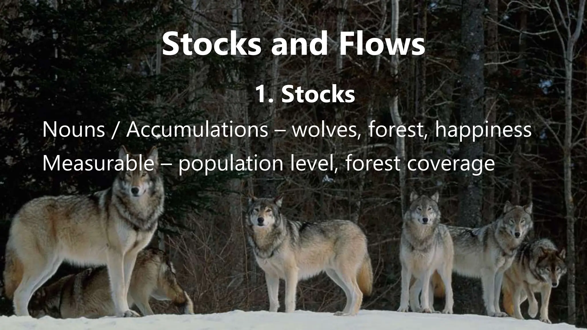 Systems Thinking Introduction - a quick overview for Software Practitioners | PPT