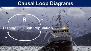 Systems Thinking Introduction - a quick overview for Software ...