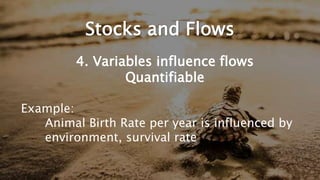 Systems Thinking Introduction - a quick overview for Software Practitioners | PPT