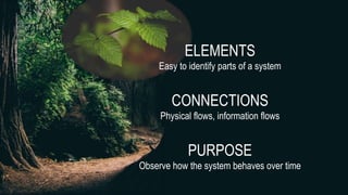 Systems Thinking Introduction - a quick overview for Software Practitioners | PPT