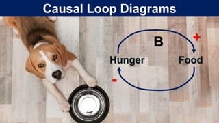 Systems Thinking Introduction - a quick overview for Software Practitioners | PPT
