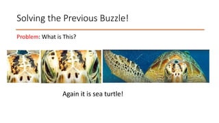 Applying Systems Thinking to Solve Wicked Problems in Software ...