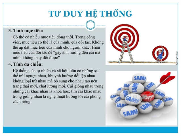 Systems thinking - Tư duy hệ thống | PDF