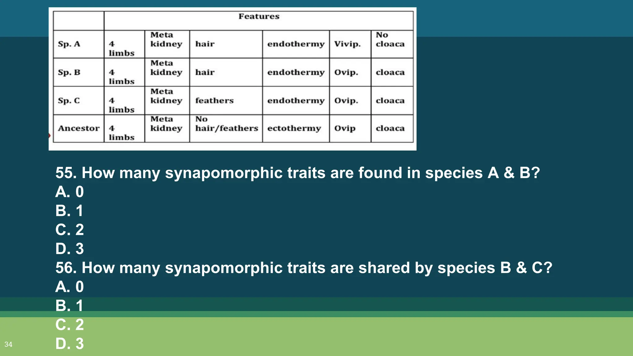 Systematics Reviewer (Animals and Plants_LET.pptx