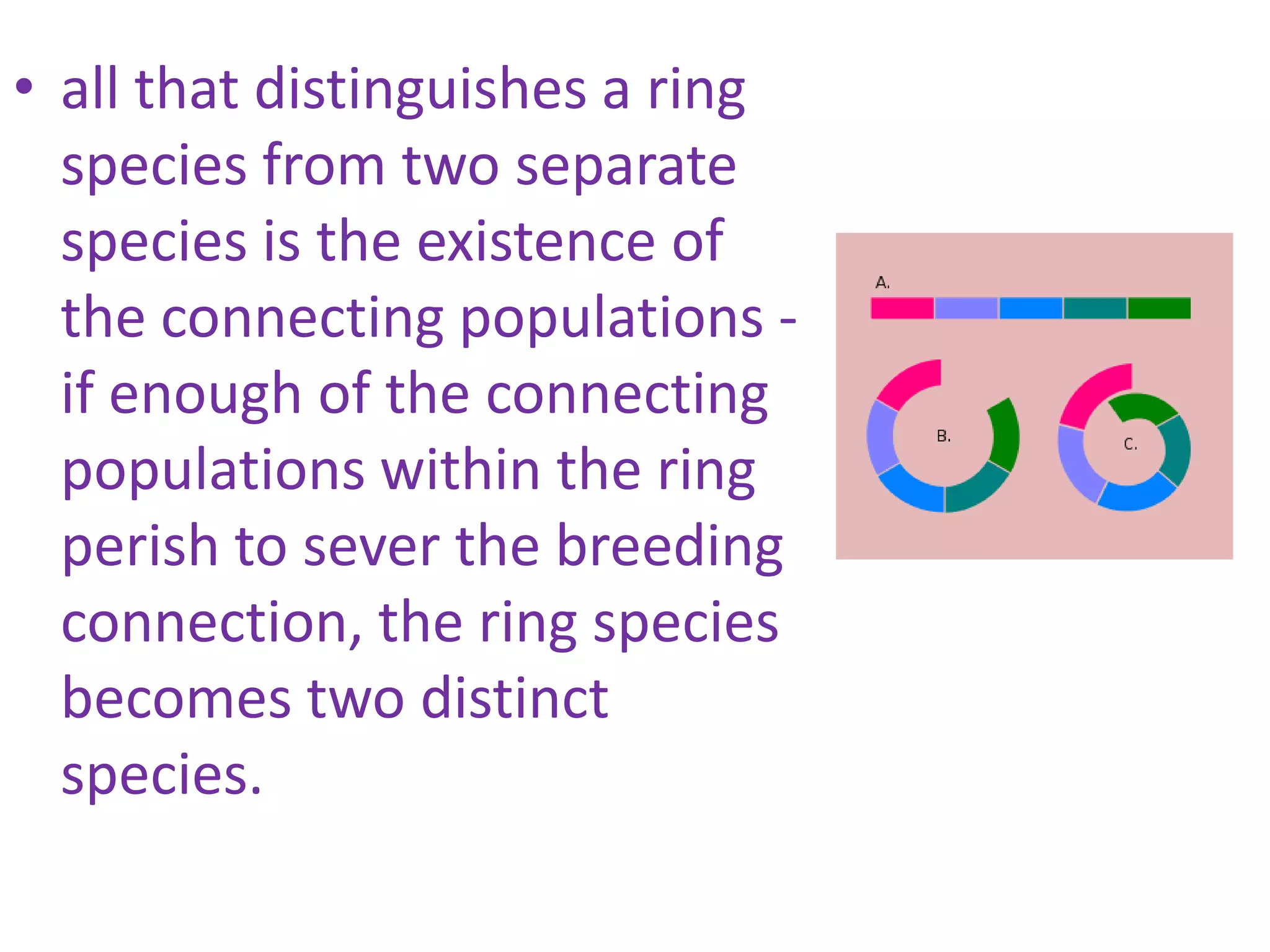 Animal Systematics lecture 4 | PPT
