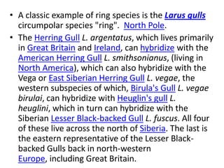 Animal Systematics lecture 4 | PPTX