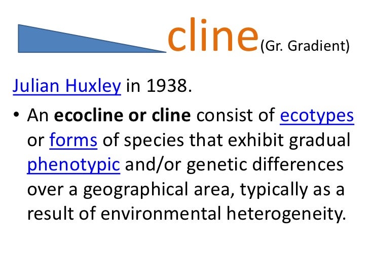Animal Systematics lecture 4