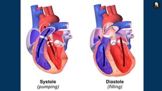 Systole and diastole human heart | PPT