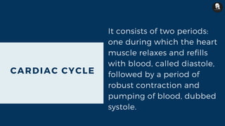 Systole and diastole human heart | PPT