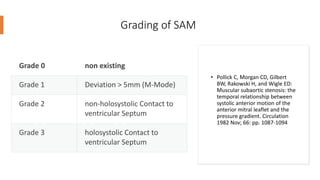 Systolic anterior motion of mitral valve | PPTX