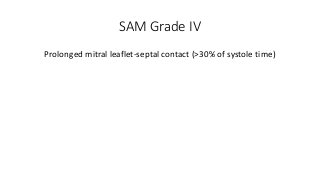 Systolic anterior motion of the mitral valve with hypertrophic ...