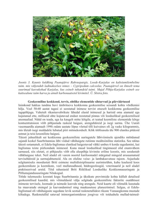 Systra kivimite koostis | PDF