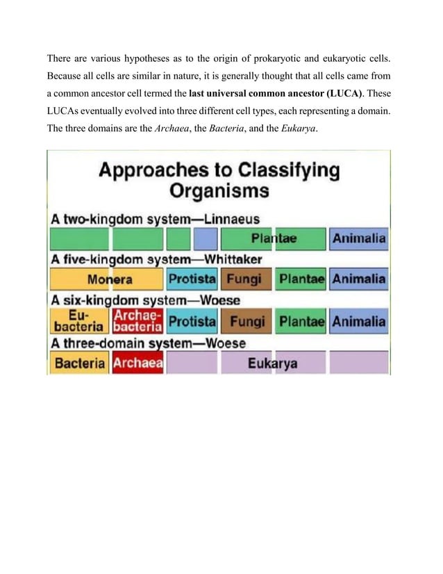 sytematics_taxonomy_phylogeny complete topic | PDF