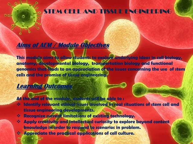 1e4 tss Stem Cell | PPT