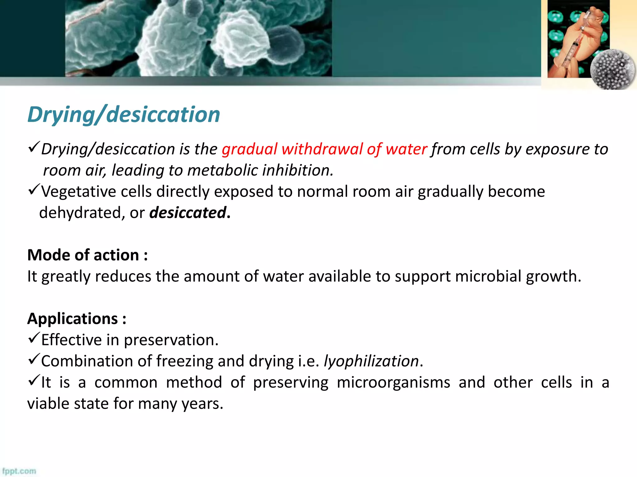 Physical and Chemical Control of Microbes | PPTX
