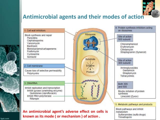 Physical and Chemical Control of Microbes | PPTX