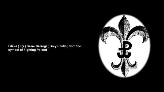 Grey Ranks | PPT
