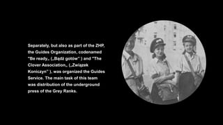 Grey Ranks | PPT
