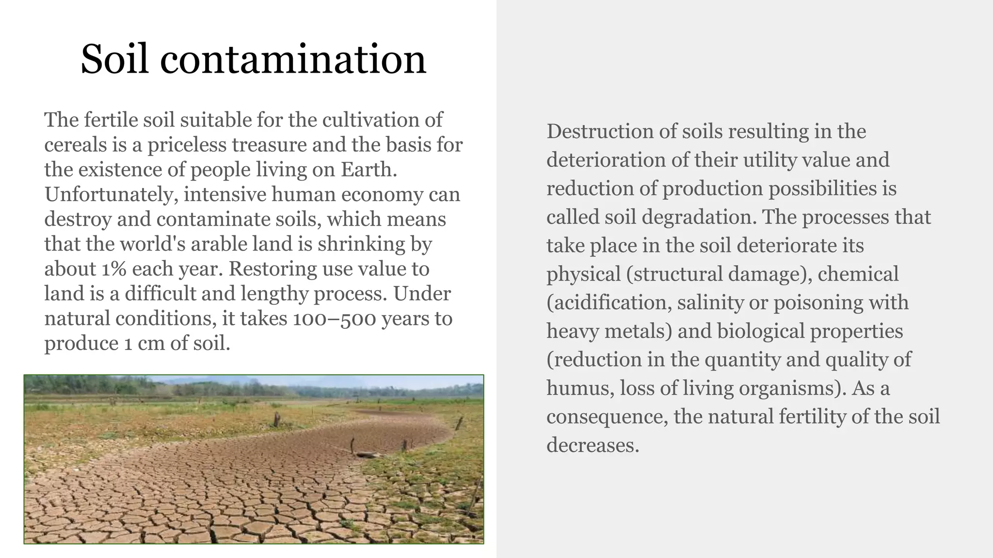 Soil contamination Group 3 | PPT
