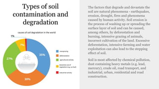 Soil contamination Group 3 | PPTX