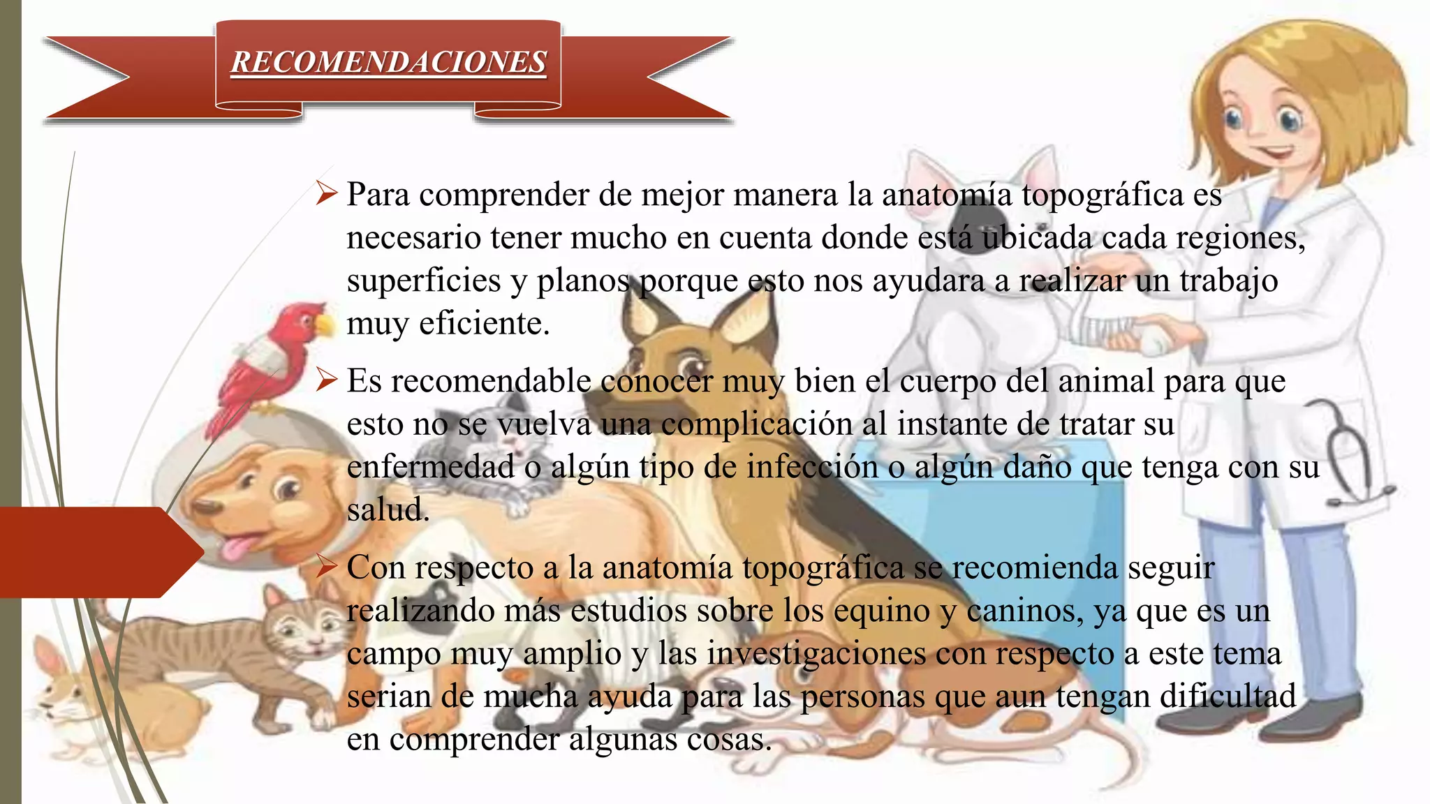 Anatomía Topográfica (Equino y Canino) | PPTX