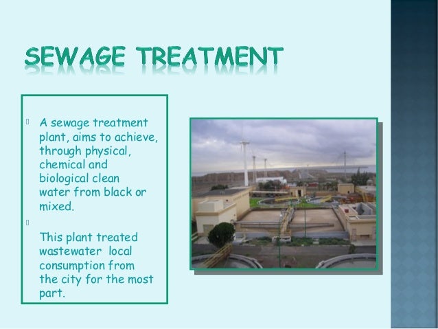 Sewage Treatment Plant sewage-treatment-plant