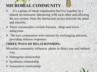 interrelationship_between_plants_and_microbe.pdf