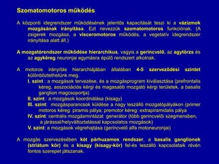 Szomatomotoros működés | PPT