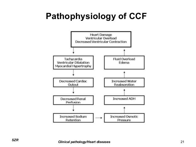 Clinical pathology