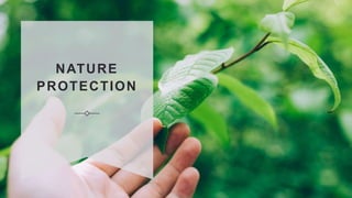 Nature protection | PPTX