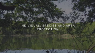 Nature protection | PPTX