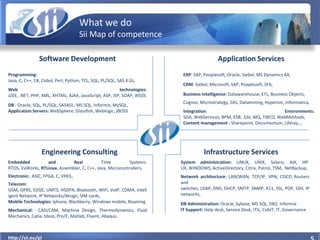 SII IT Services | PPT