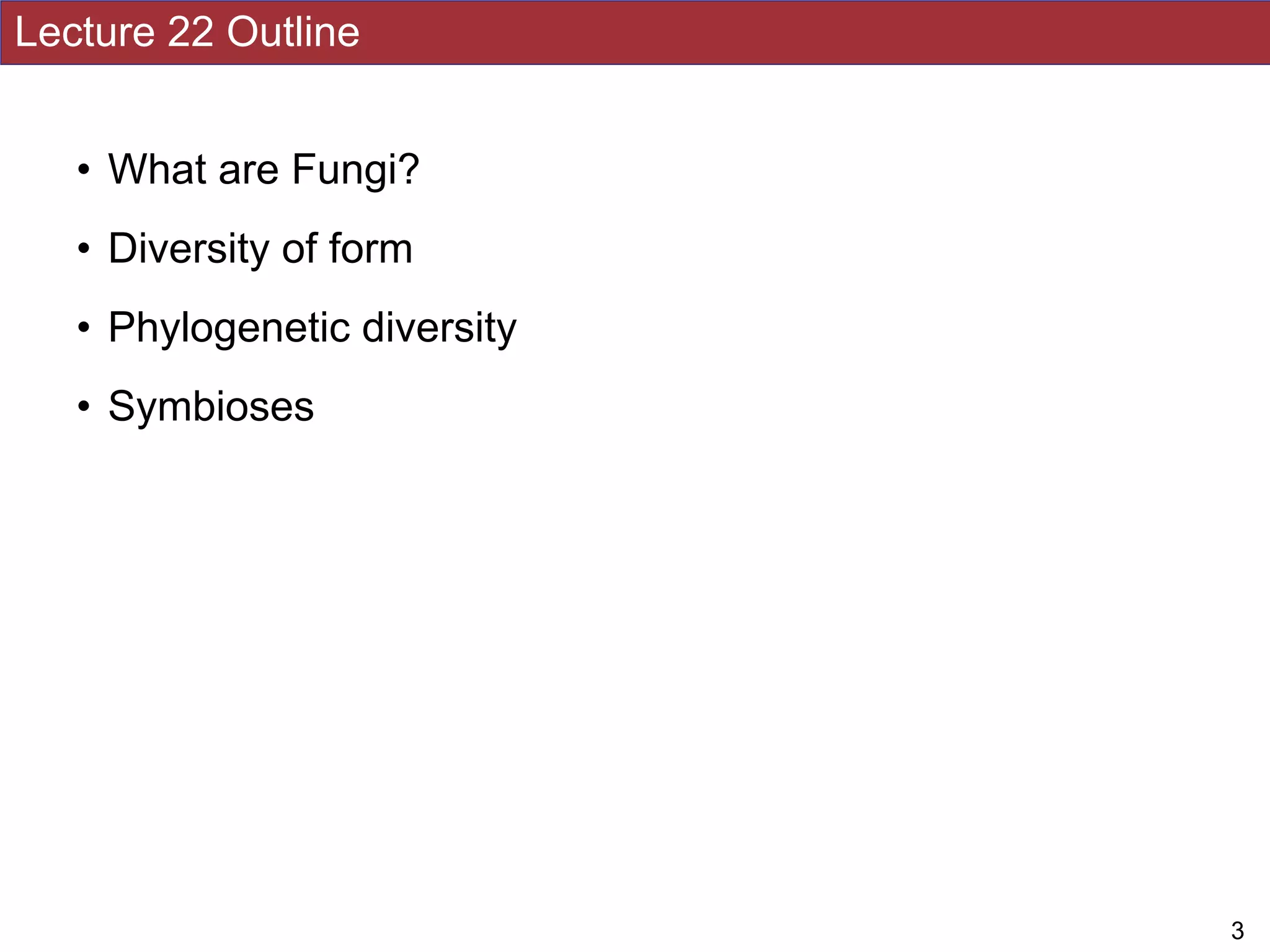 BIS2C. Biodiversity and the Tree of Life. 2014. L14. Fungi | PDF