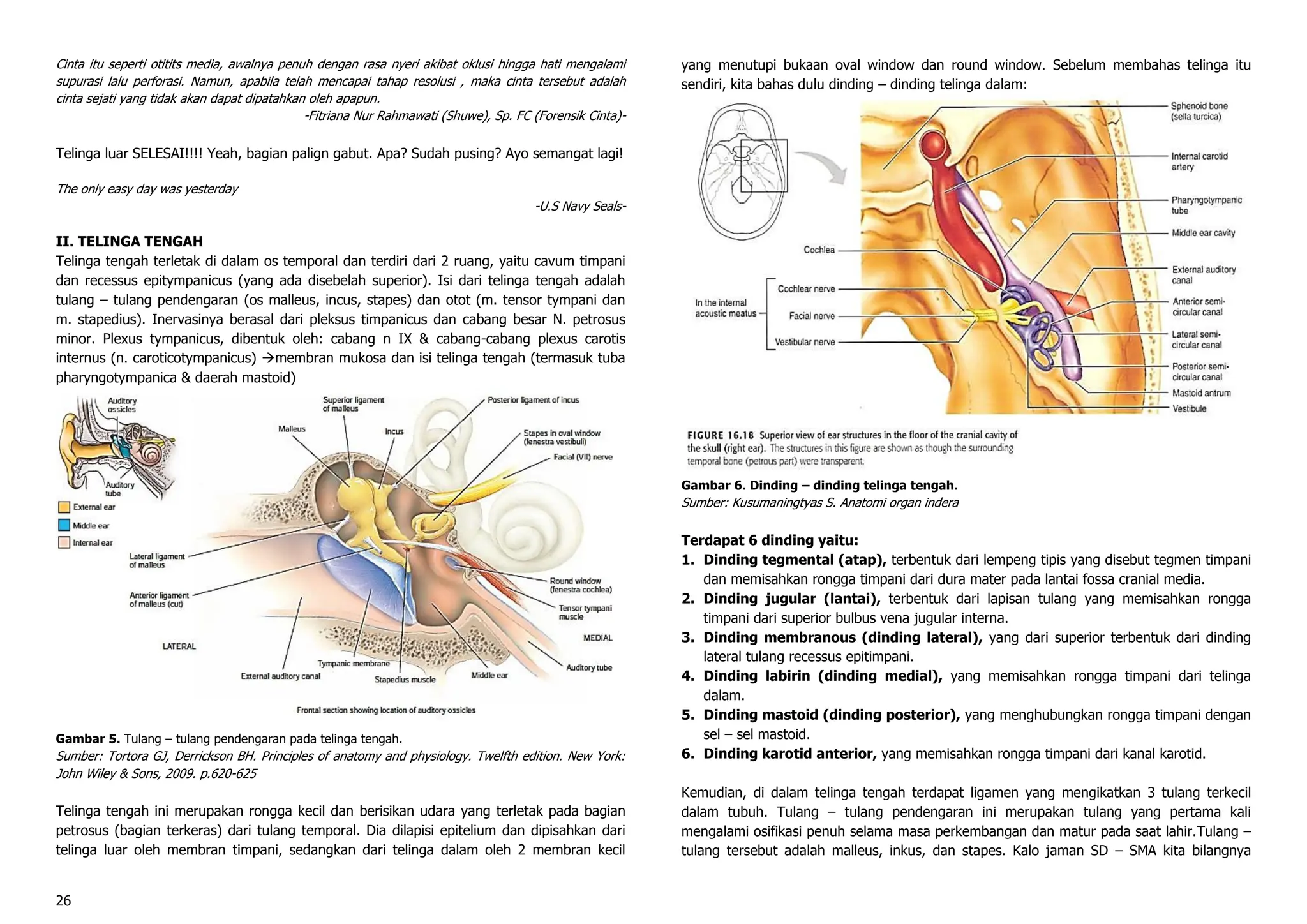 T-02 Anatomi Pendengaran definisi dan patofisiologi | PDF